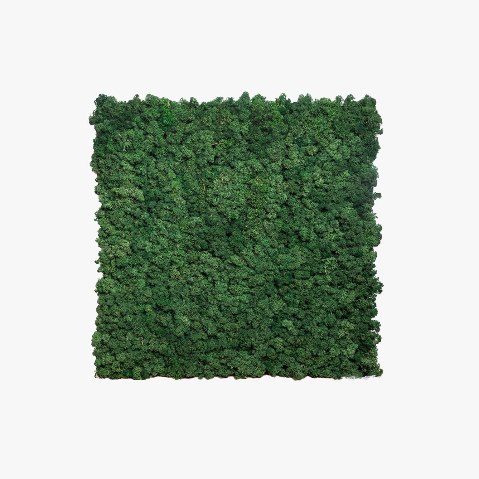 Panneau de mousse acoustique végétale vert | WoodUpp